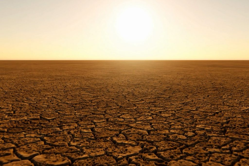 Interview Archives | DIRAJ