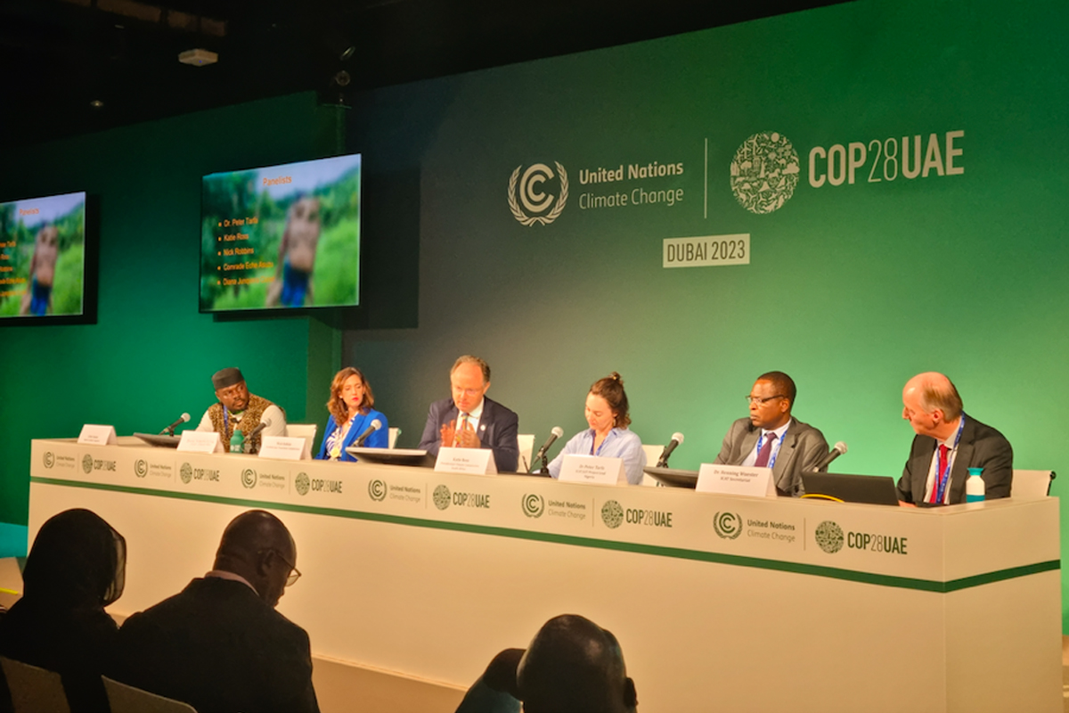 African nations secure significant gains at COP28 - DIRAJ